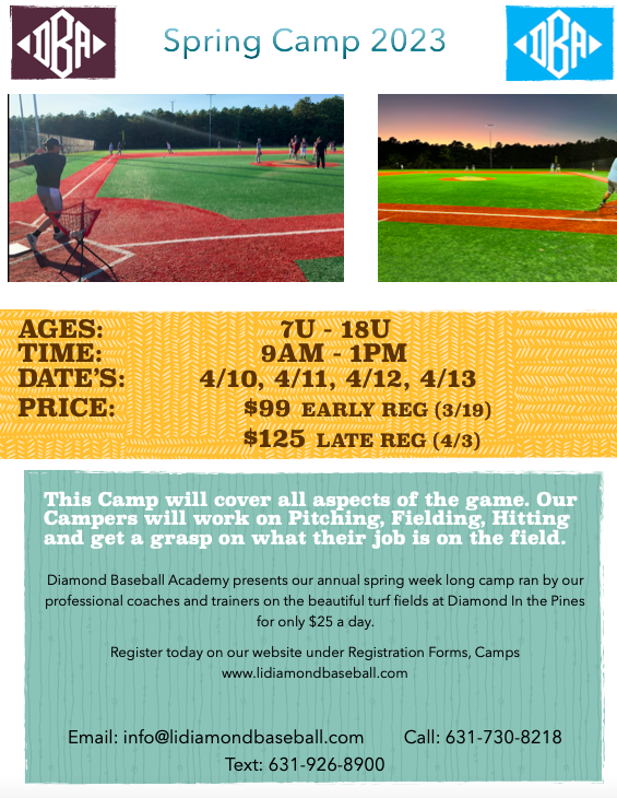 Camps - Diamond Baseball Academy