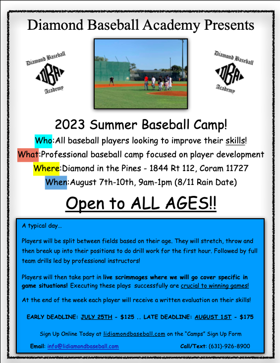 Camps - Diamond Baseball Academy
